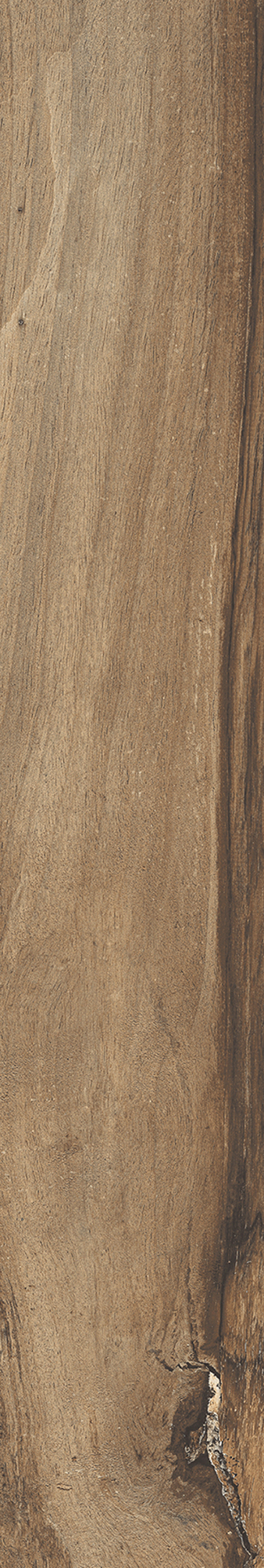 Sherwood/Timeless/Woodie - Ceramic Tileworks , Minnesota